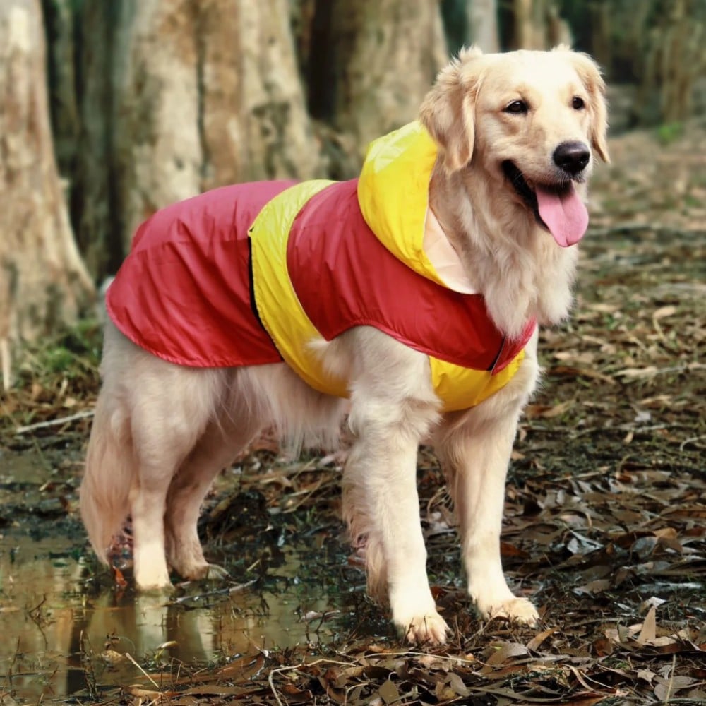 Pet Set Go Dog Raincoat with Hood (Red, Yellow) Price - Buy Online at ...