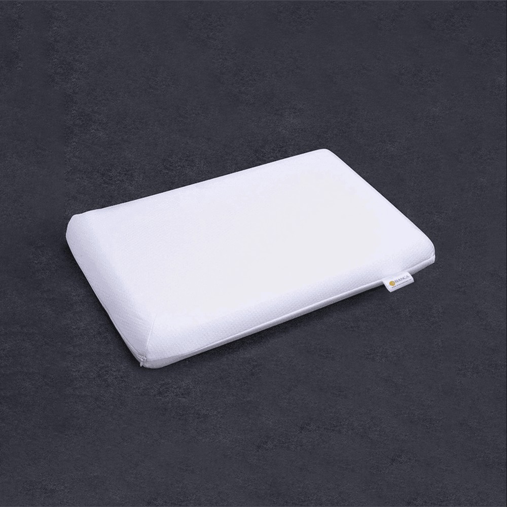 Bianca Orthopedic Pillow With Removable Zipper Cover (Memory-Foam ...