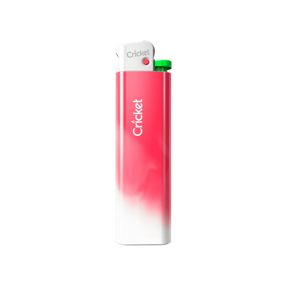 Cricket Vibrant Disposable Pocket Lighter Price - Buy Online at ₹65 in ...