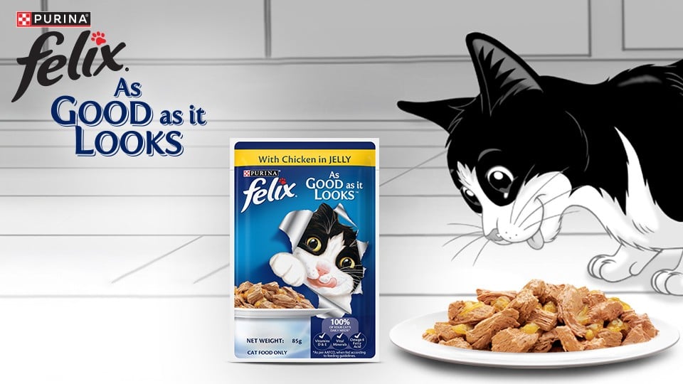 Felix Chicken with Jelly Adult Wet Cat Food (Pack of 12) - Pack of 24 ...