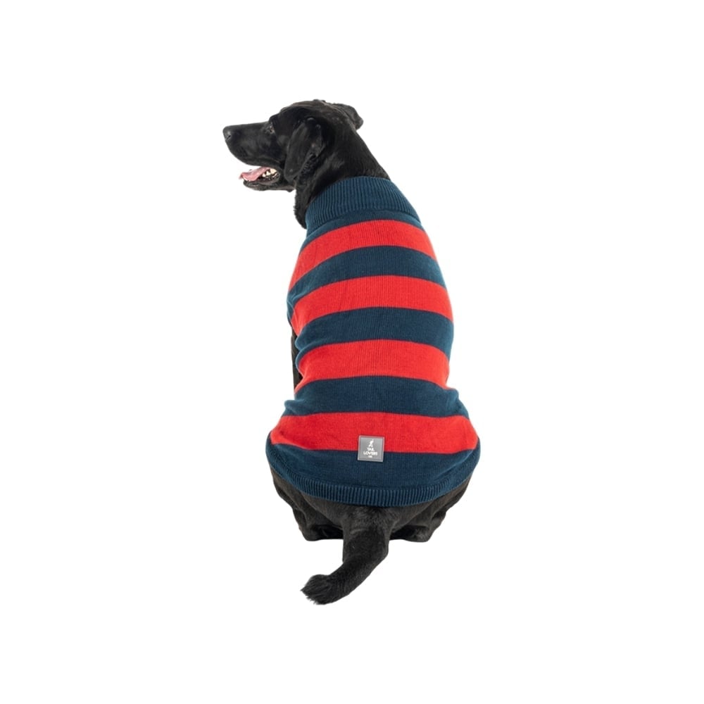 HUFT Cherry Cola Dog Sweater (Navy Blue, Red) Price - Buy Online at ...