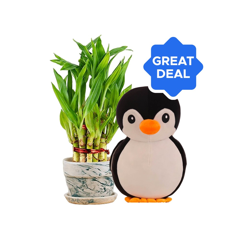 Babique Penguin Plush Soft Toy + Nurturing Green Two Layer Lucky Bamboo ...
