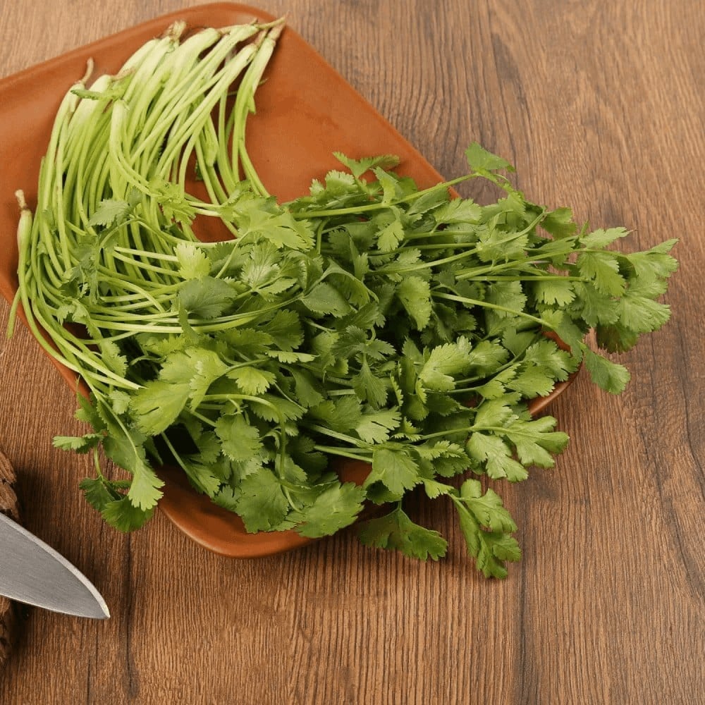 Organically Grown Coriander - 100 g (Dhaniya Patta) Price - Buy Online ...