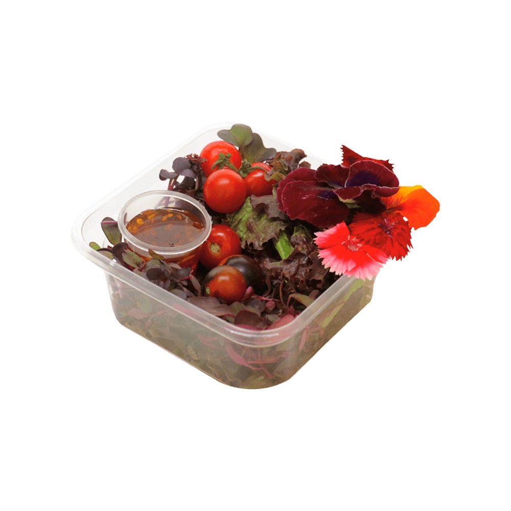 Scarlet Red Salad Mix Price - Buy Online at Best Price in India