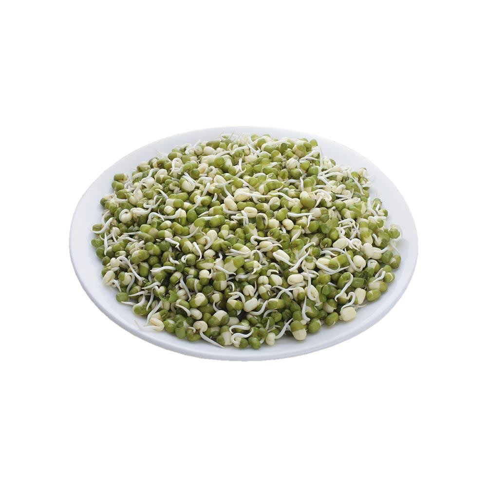 Green Gram Sprouts Price - Buy Online at Best Price in India