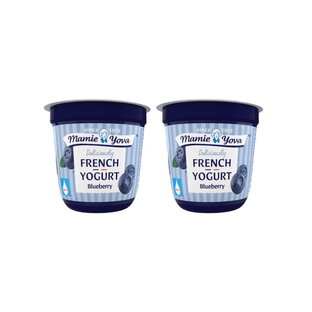 Mamie Yova French Fruit Flavoured Yogurt -Blueberry - Pack of 2 Price ...