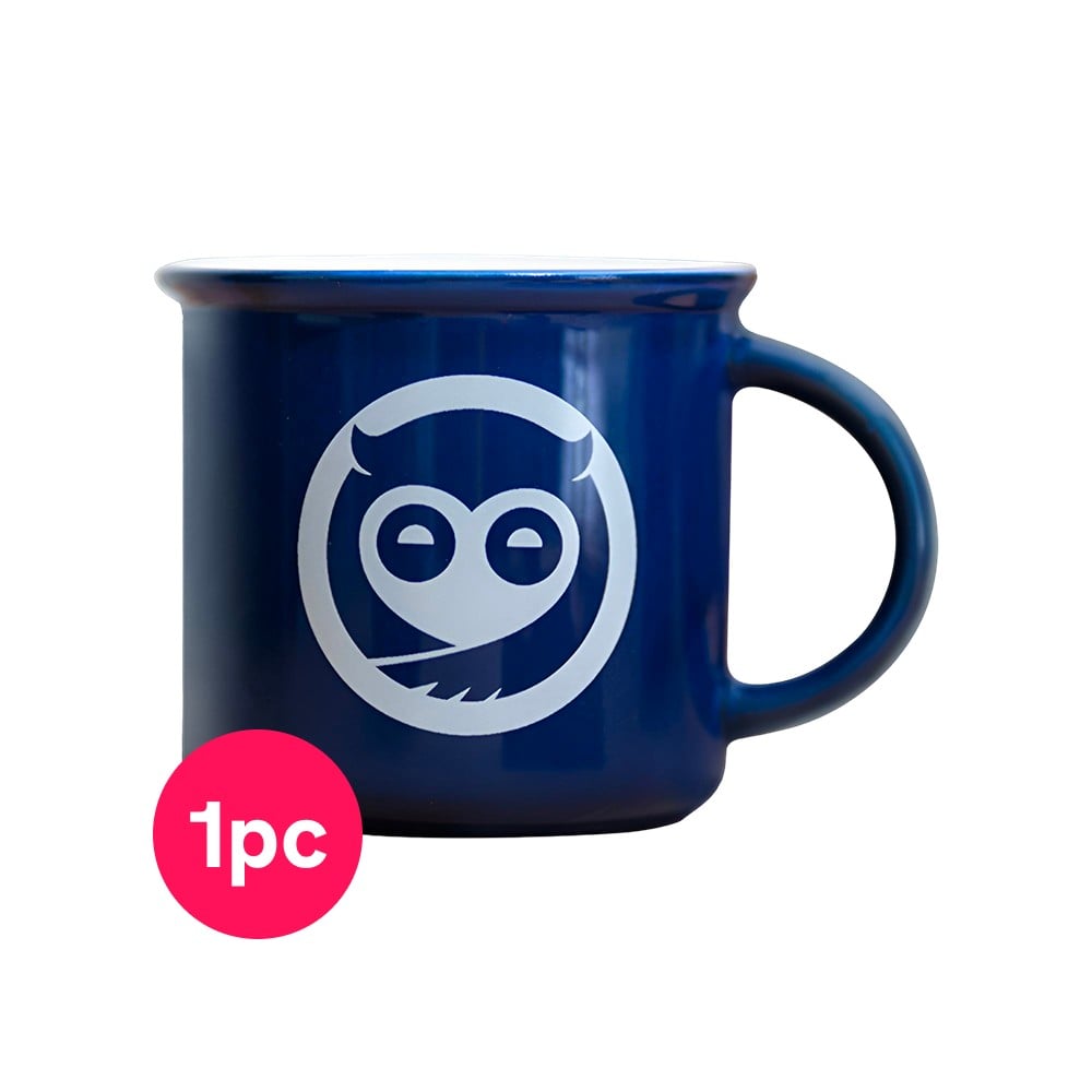 Sleepy Owl Ceramic Coffee Mug (Ceramic, 375 ml) Price - Buy Online at ...