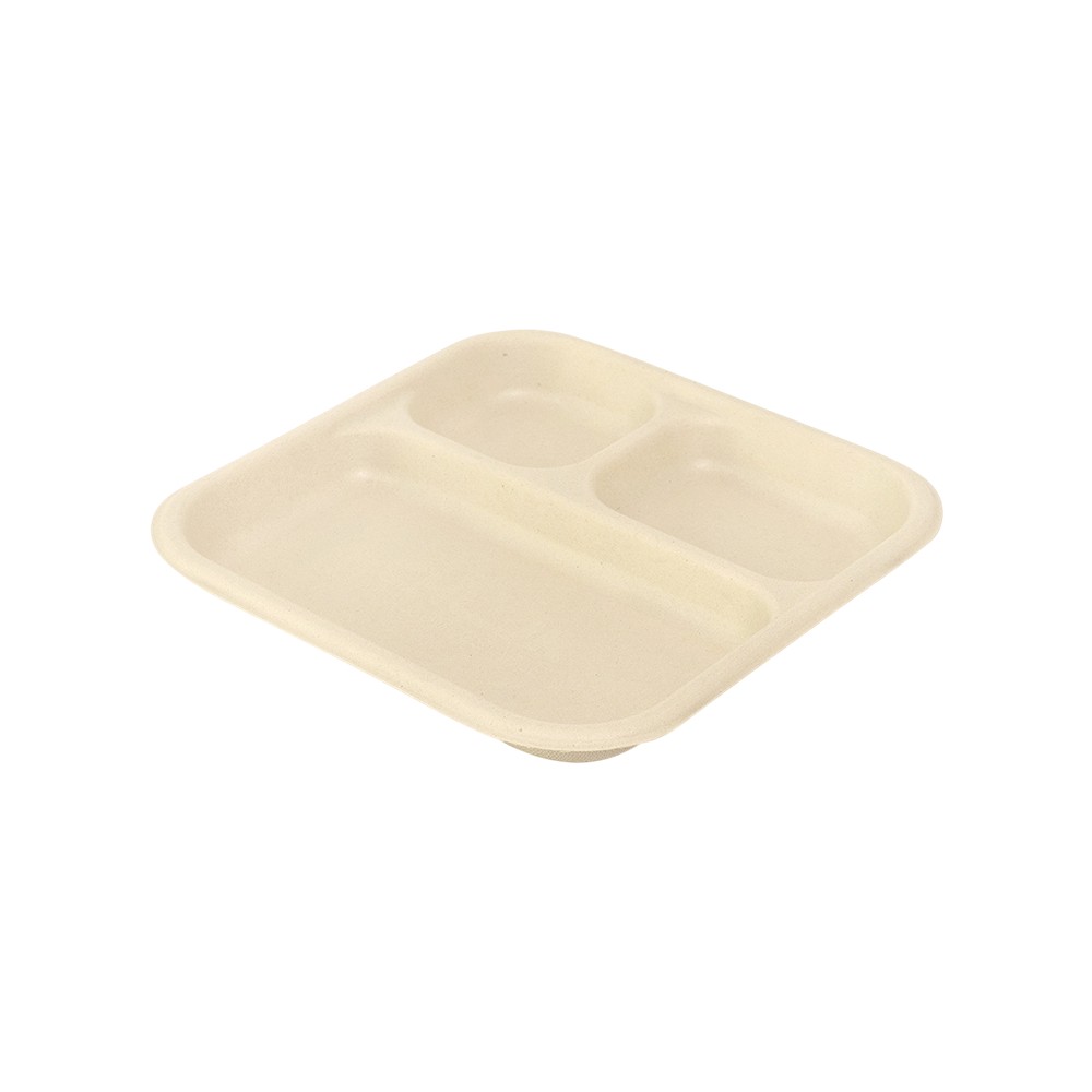 Chuk 3 Compartment Disposable Plates Price - Buy Online at ₹119 in India