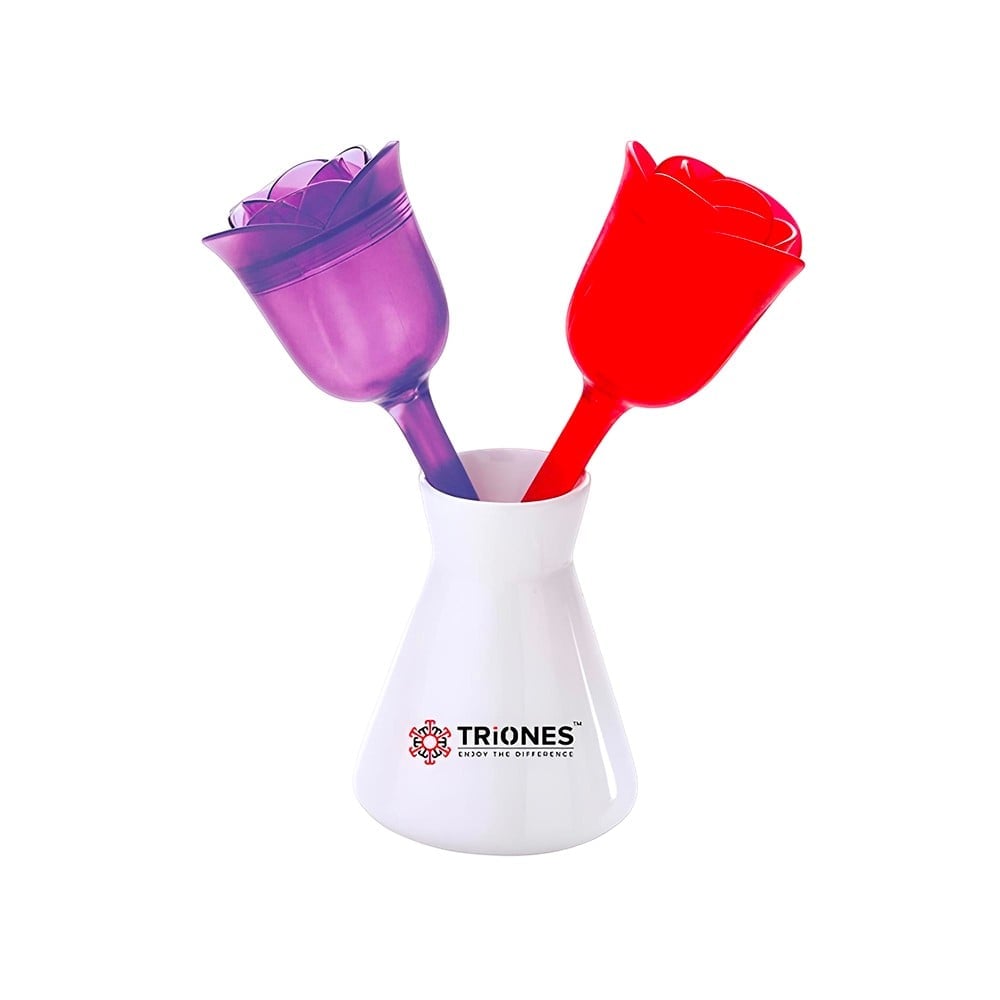 Triones Shaker (Purple, Red) Price - Buy Online at Best Price in India