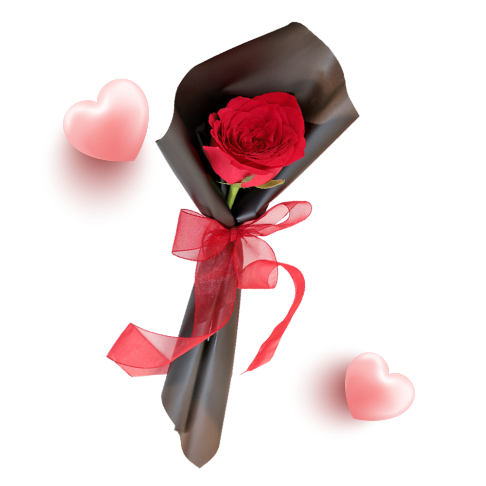 IGP Red Rose Single Flower Price - Buy Online at Best Price in India